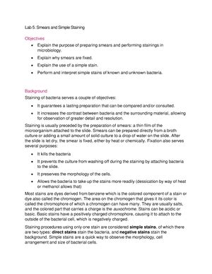 Lab Report Endospore Staining Lab Endospore Staining Objectives Explain The Structure