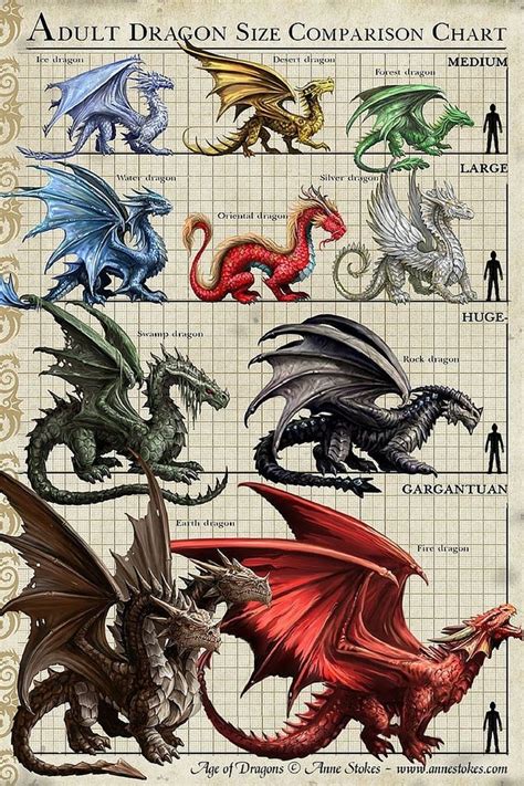 Dragon Artwork Showcase Different Types Of Dragons Dnd Dragons Types