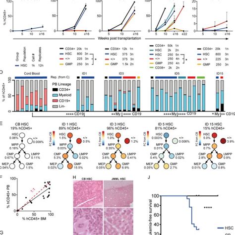 Who Defined Diagnostic Criteria For Mds Mpn Classification 3 Download Table