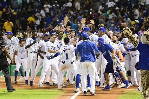 La Gloriosa Evolución De Sergio Alcántara El Mejor Pelotero Del Licey