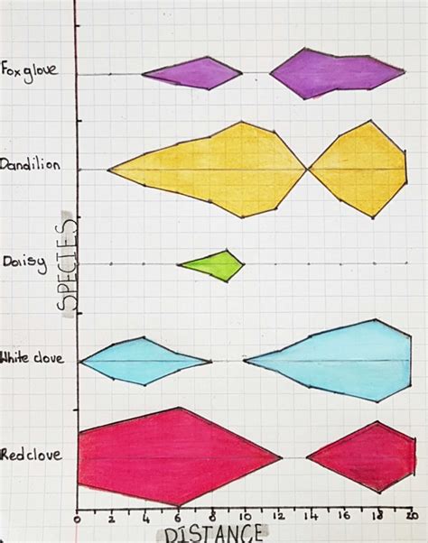 Favorite Info About How To Draw A Kite Diagram Significancewall