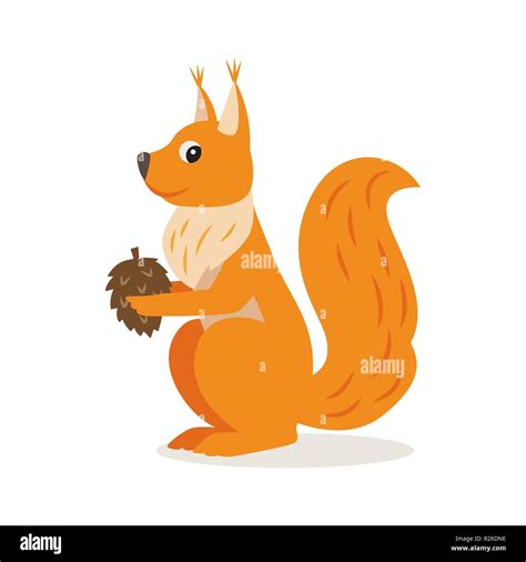 Squirrel Nut Stock Vector Images Alamy