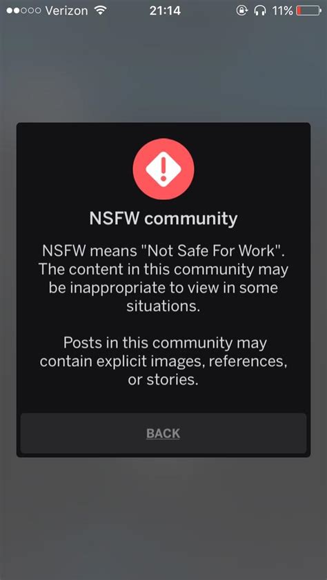 There Is No Way To Bypass Reddit S NSFW Tag R Assholedesign