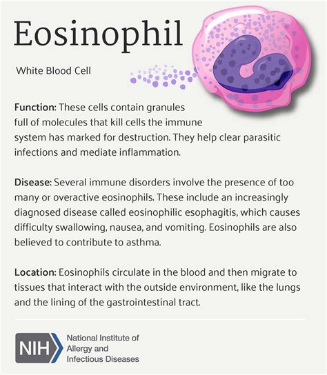 Eosinophils Range
