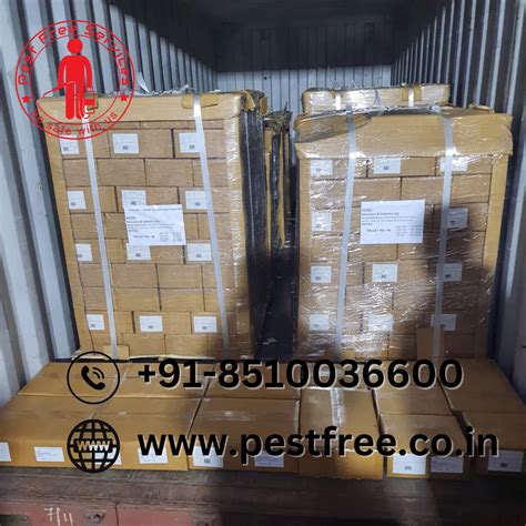 Corrugated Box Packing And Lashing At ₹ 650 Box Noida Id 2851792395291