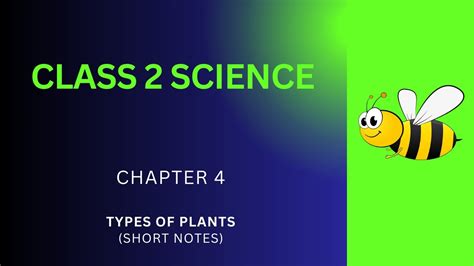 Types Of Plants Short Notes Ch 4 Grade 2 Science Notes Class 2