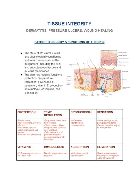 Tissue Integrity Notes Tissue Integrity Dermatitis Pressure Ulcers