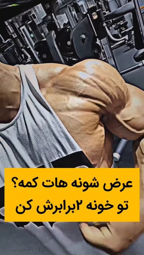 ‎زرین فیت بدنسازی و فیتنس‎ ‎برات وی بهتره یا گینر؟ هر کدومو خواستین