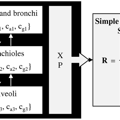Conceptual Overview Of The Framework Within Host Models Of Infection Download Scientific