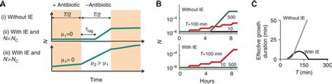 Modeling The Impact Of Inoculum Effect Ie On Periodic Antibiotic Download Scientific Diagram