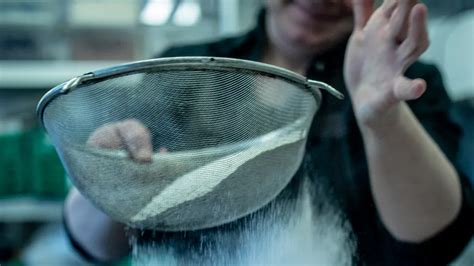 The Core Principles Of Sift Scale Invariant Feature Transform In Machine Vision