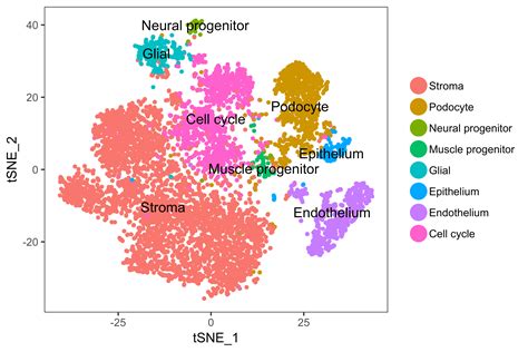 Machine Learning Services Biocode