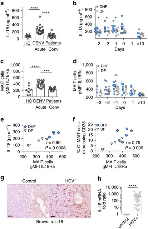 Mait Cells Are Activated During Human Viral Infections Pmc