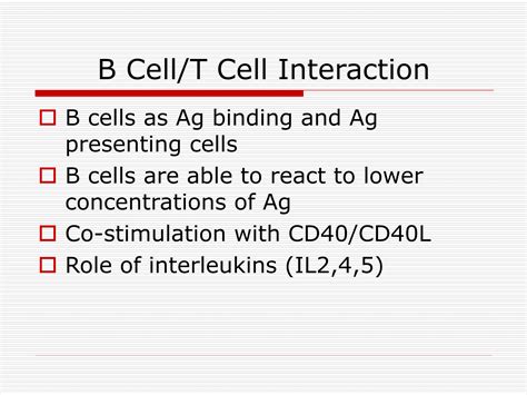 White Blood Cellppt General Classification Of Lymphocytes Ppt