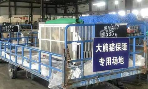 歷史重演衛懿公好鵝與楚莊王寵馬 每日頭條