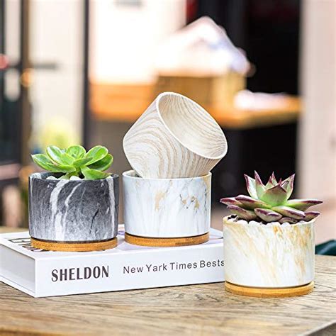 SanDope Succulent Plant Pots White Mini 3 5 Inch Ceramic Flower