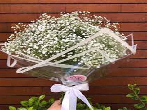 قیمت خرید گل ژیپسوفیلا مصنوعی عکس آراد برندینگ