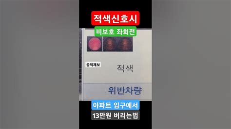 반드시 직진신호에만 좌회전 해야되는 이유 비보호좌회전 Youtube
