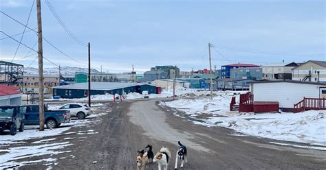 Iqaluit Council Considers 24 Hour ‘hold Before Euthanizing Loose Animals