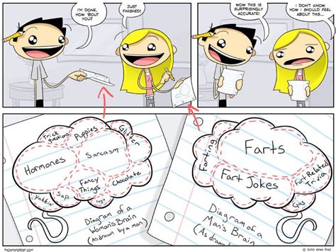 Male Vs Female Brain Funny