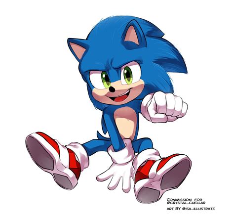 Shadow The Hedgehog Hedgehog Game Sonic The Hedgehog Sonic Boom
