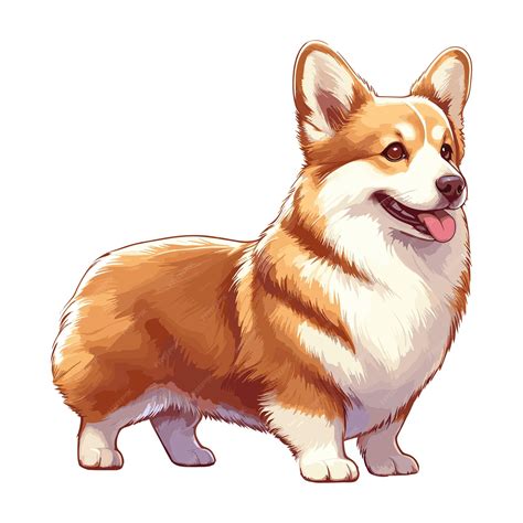 Ilustración De Dibujos Animados Vectoriales De Perros Corgi Vector
