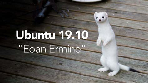 repository lokal indonesia ubuntu 19 10 eoan ermine nugi