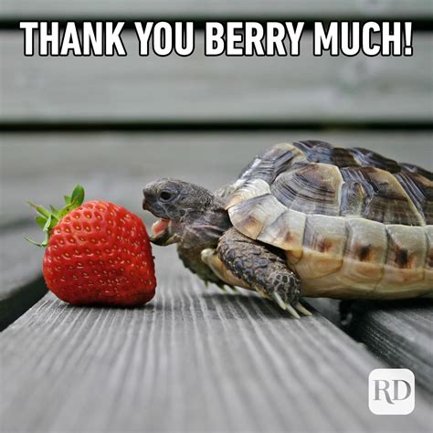 Funny Thank You  Artofit