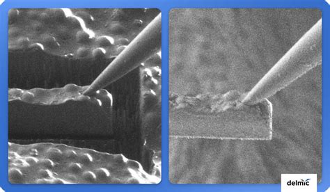 What Is The Difference Between Cryo Em And Cryo Et