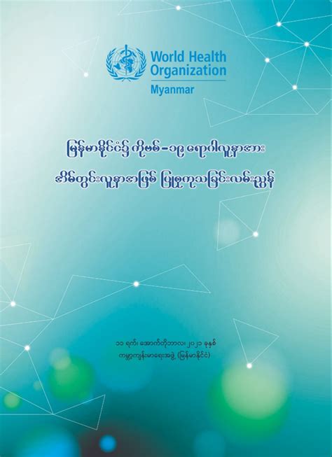 Who Myanmar World Health Organization