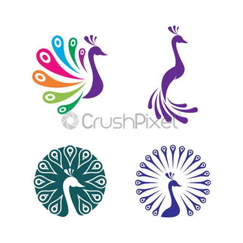 Peacock Logo Illustration Stock Vector 5588730 Crushpixel