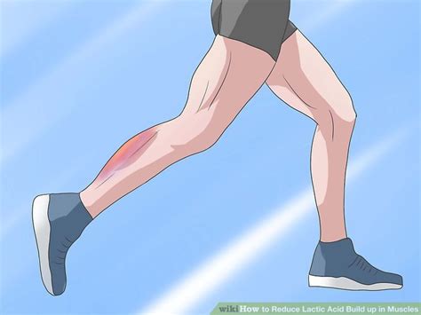 How To Reduce Lactic Acid Build Up In Muscles 15 Steps