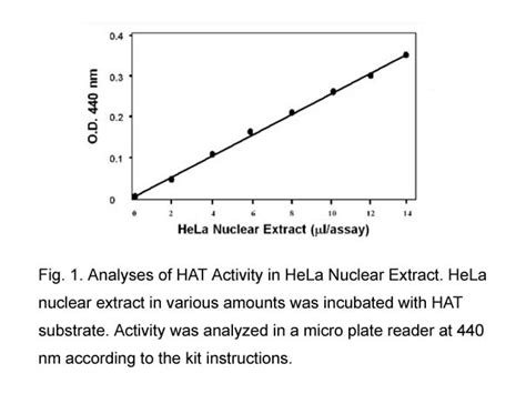 Apexbio Hat Activity Colorimetric Assay Kit Detects Hat Activity