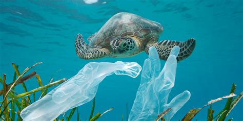 El plástico ya representa la mitad de la basura marina recogida en las playas de Canarias
