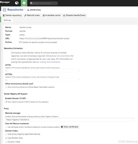 网路代理环境设置network Proxy Csdn博客