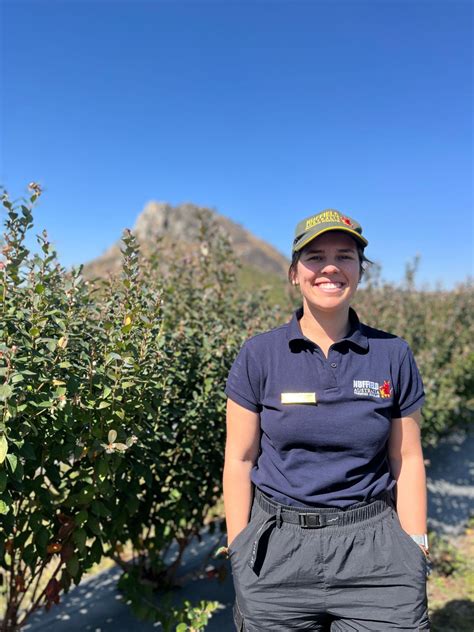 Wow The Whirlwind Of My Nuffield Australia Scholarship 5 Week Global