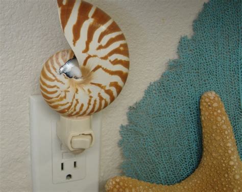 Sliced Natural Tiger Nautilus Shell Nightlight Seashell Night Etsy