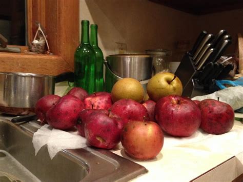 Emily Mathis Artwork