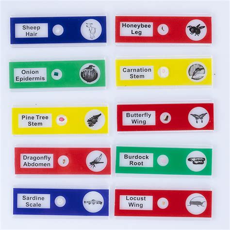 Electronic Microscope Best Rc And Electronics For Ages 4 To 8