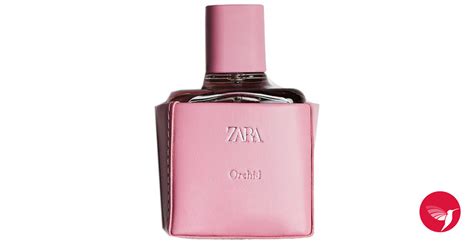 Zara Orchid 2021 Zara аромат — аромат для женщин 2021
