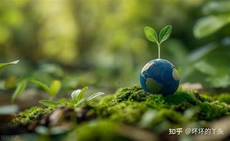 Java七大热门技术框架源码解析超清完结分享 知乎 Java七大热门技术框架源码解析超清完结分享 知乎