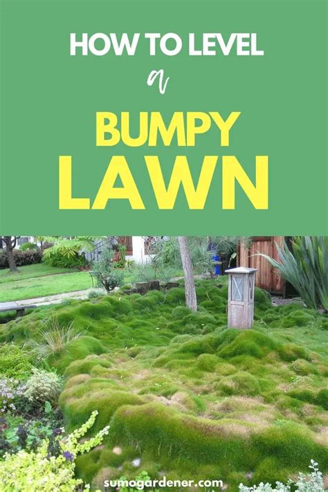 How To Level A Bumpy Lawn Causes And Fixes Sumo Gardener