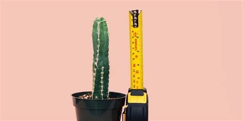 How To Perform Assertiveness Skills Training Exercises