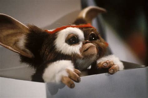 Gremlins Chris Columbus Conferma Lo Script Del Terzo Film