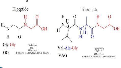 Dipeptide Structure