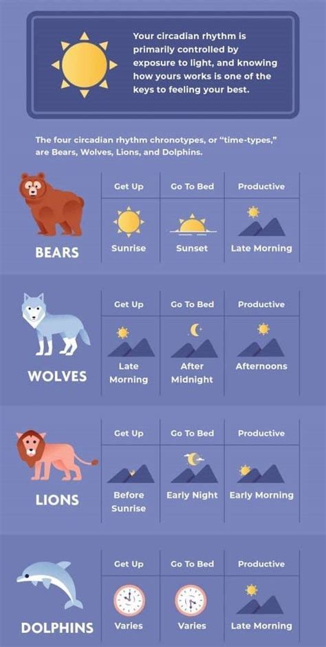 Which Sleep Chronotype Are You Artofit