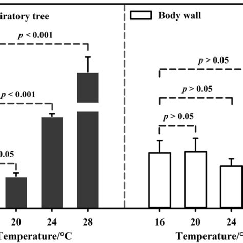 Reactive Oxygen Species Ros Levels In The Respiratory Tree And Body