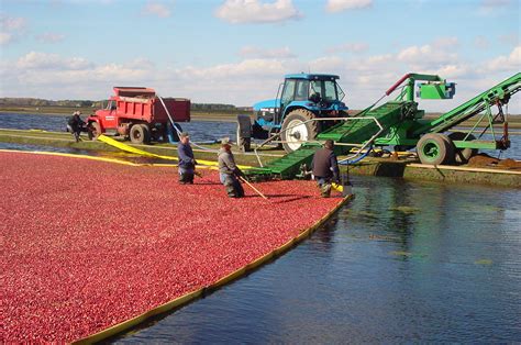 Midwest Agriculture Road Trips With R Karl On The Lake
