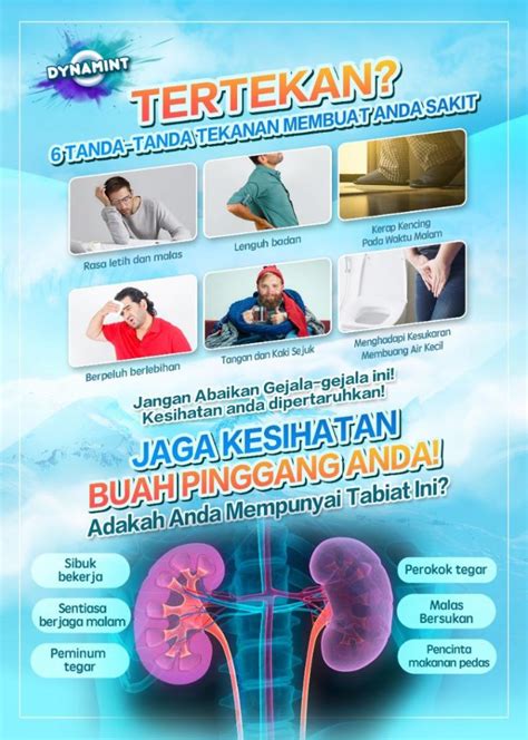 Dynamint 冷糖 男人保健品 Dynamint Men Supplement Dynamint2u