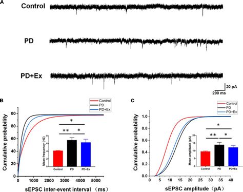 Exercise Improves Behavioral Dysfunction And Inhibits The Spontaneous Excitatory Postsynaptic